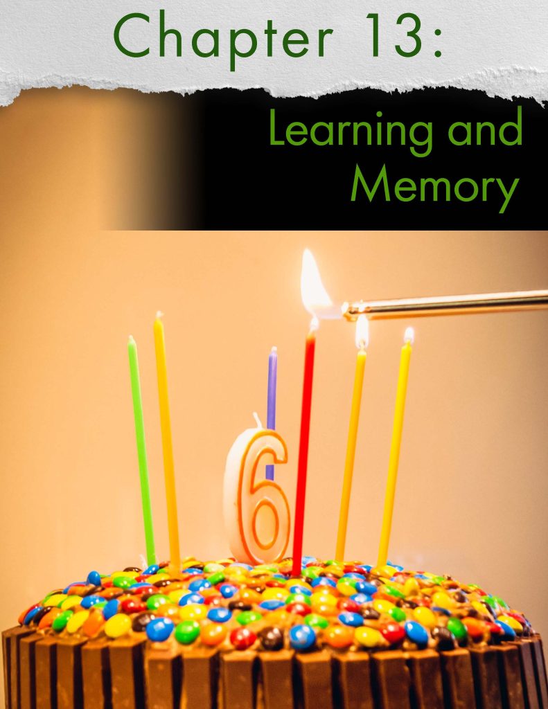 Learning and Memory – Biological Basis of Behavior